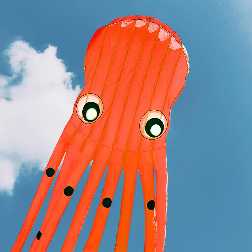 Large 3D 49ft / 15M Tube-Shaped Parafoil Octopus Kite - Orange – Emmakites